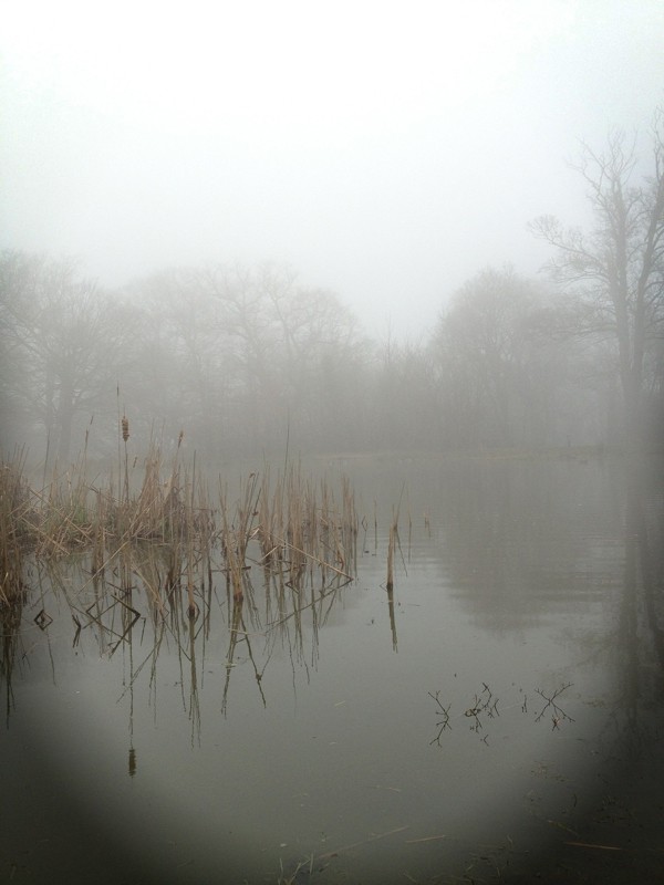 Living Water Saturating Earth with Heaven – Taste of Manna